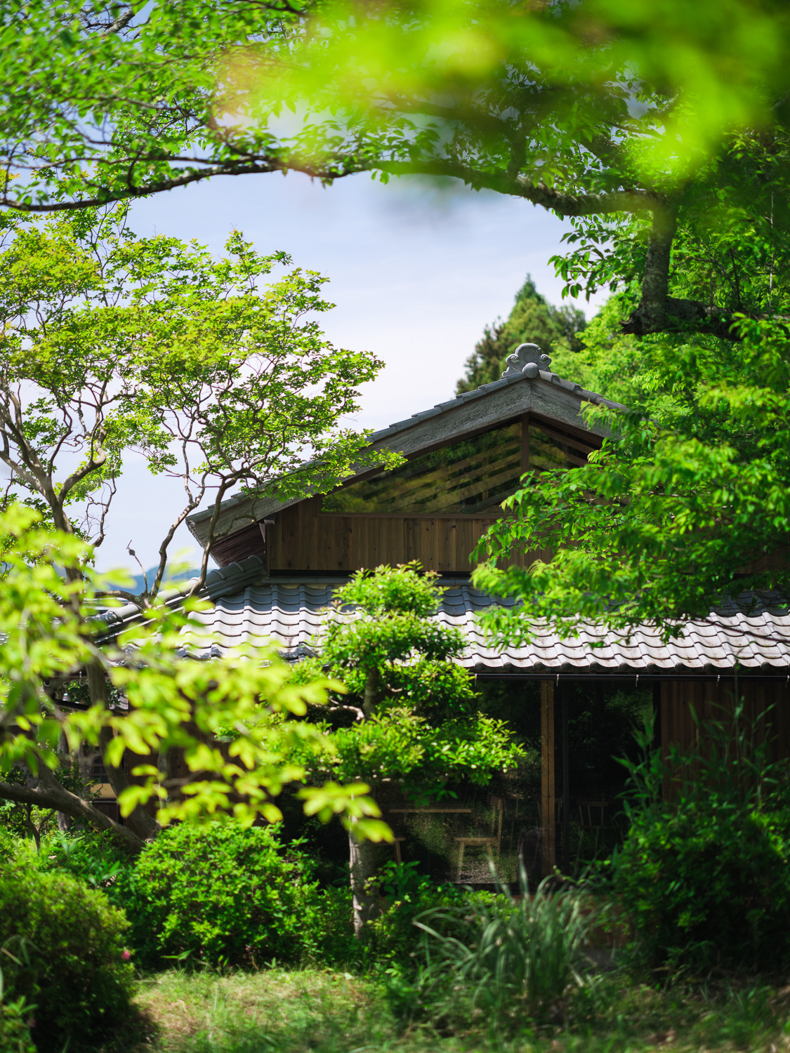 tensen - グルメ・お土産 - 「京丹後ナビ」京丹後市観光公社 公式サイト